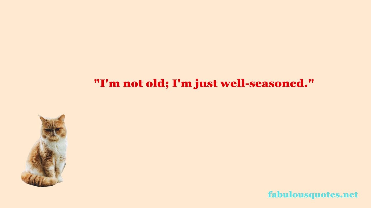 50+ Funny Quotes about life and Funny yearbook quotes - Funniest Quotes ...