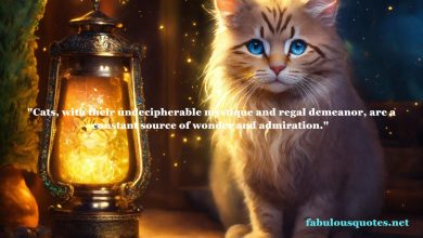 60 Inspirational Cat Quotes That Will Melt Your Heart - Funniest Quotes ...