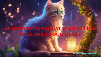 60 Inspirational Cat Quotes That Will Melt Your Heart - Funniest Quotes ...