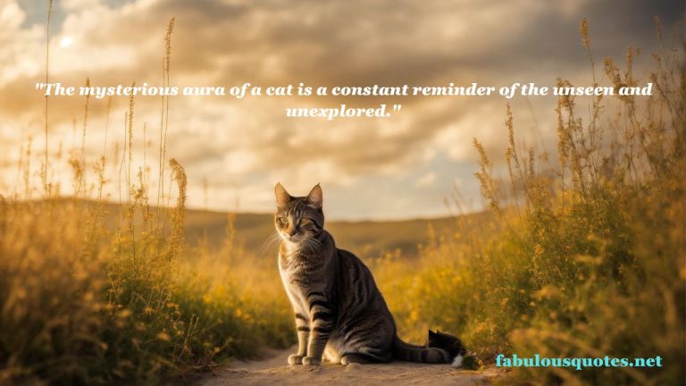 60 Inspirational Cat Quotes That Will Melt Your Heart - Funniest Quotes ...