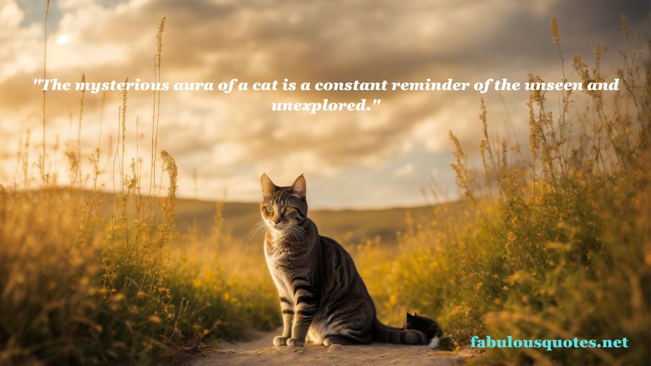 60 Inspirational Cat Quotes That Will Melt Your Heart - Funniest Quotes ...