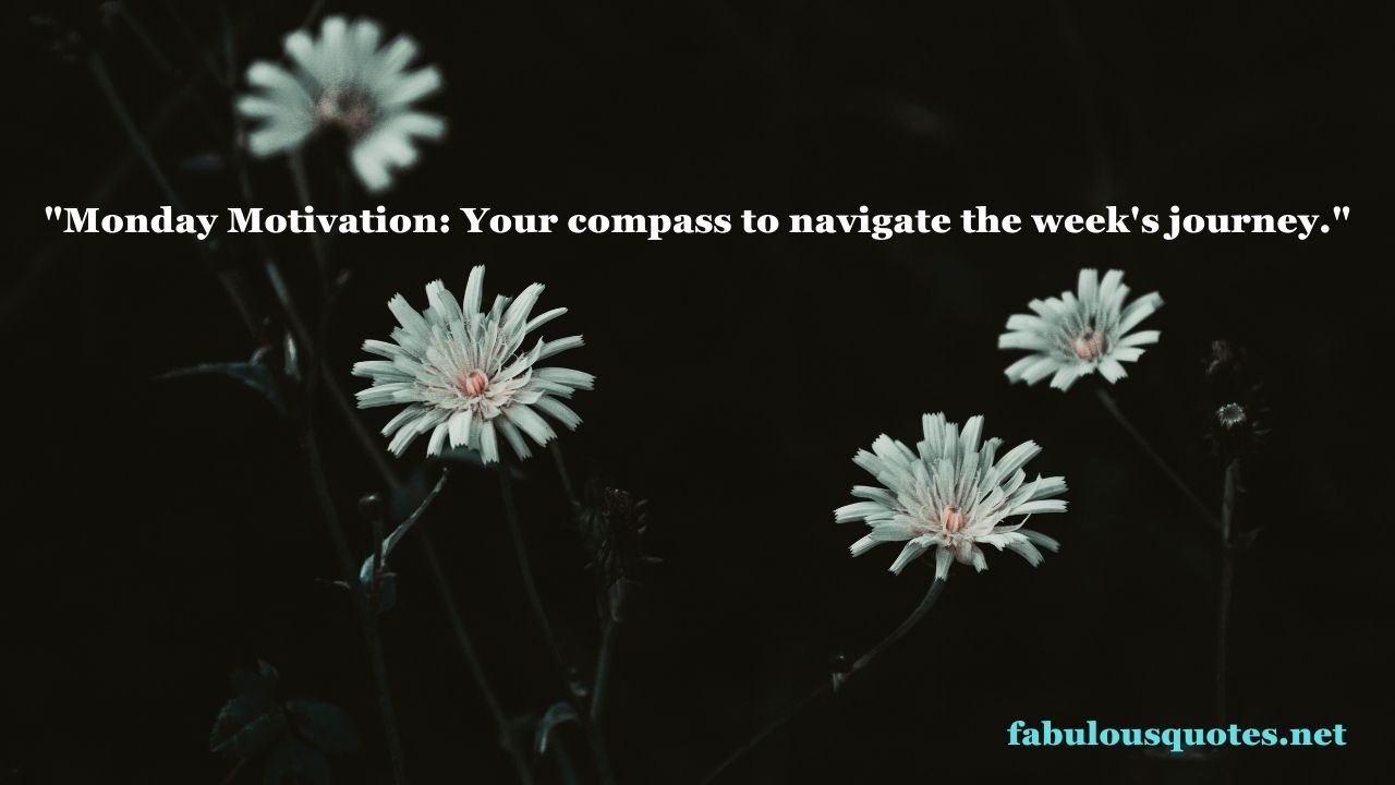 100+ Monday Motivation Quotes - Funniest Quotes & Sayings That Will ...
