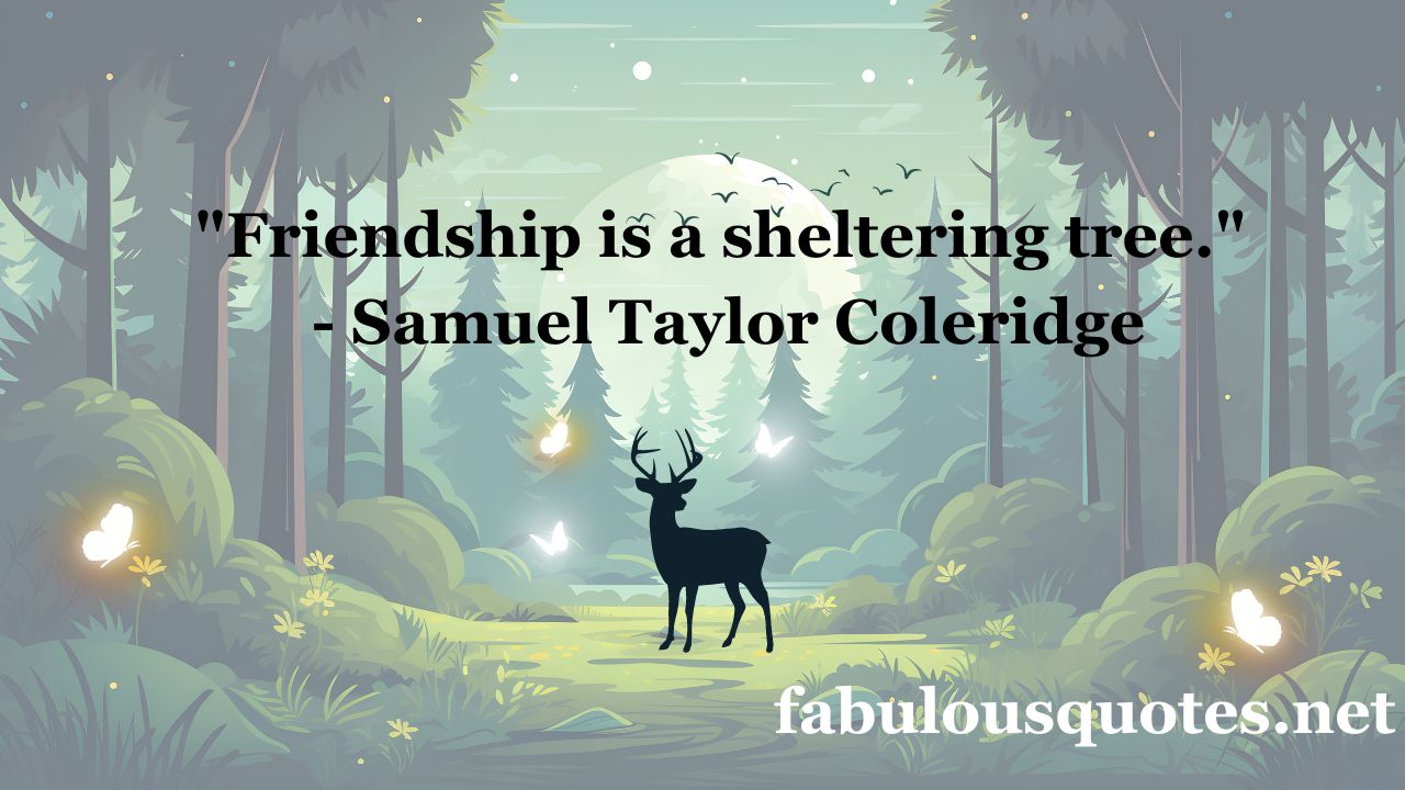 25 Wise Quotes About Friendship: Timeless Wisdom on Friendship ...