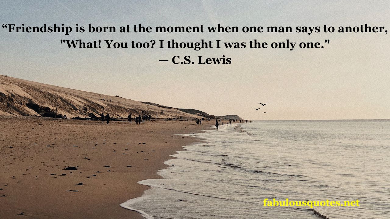 25 Hilarious Funny Quotes for Longtime Friends - Funniest Quotes ...